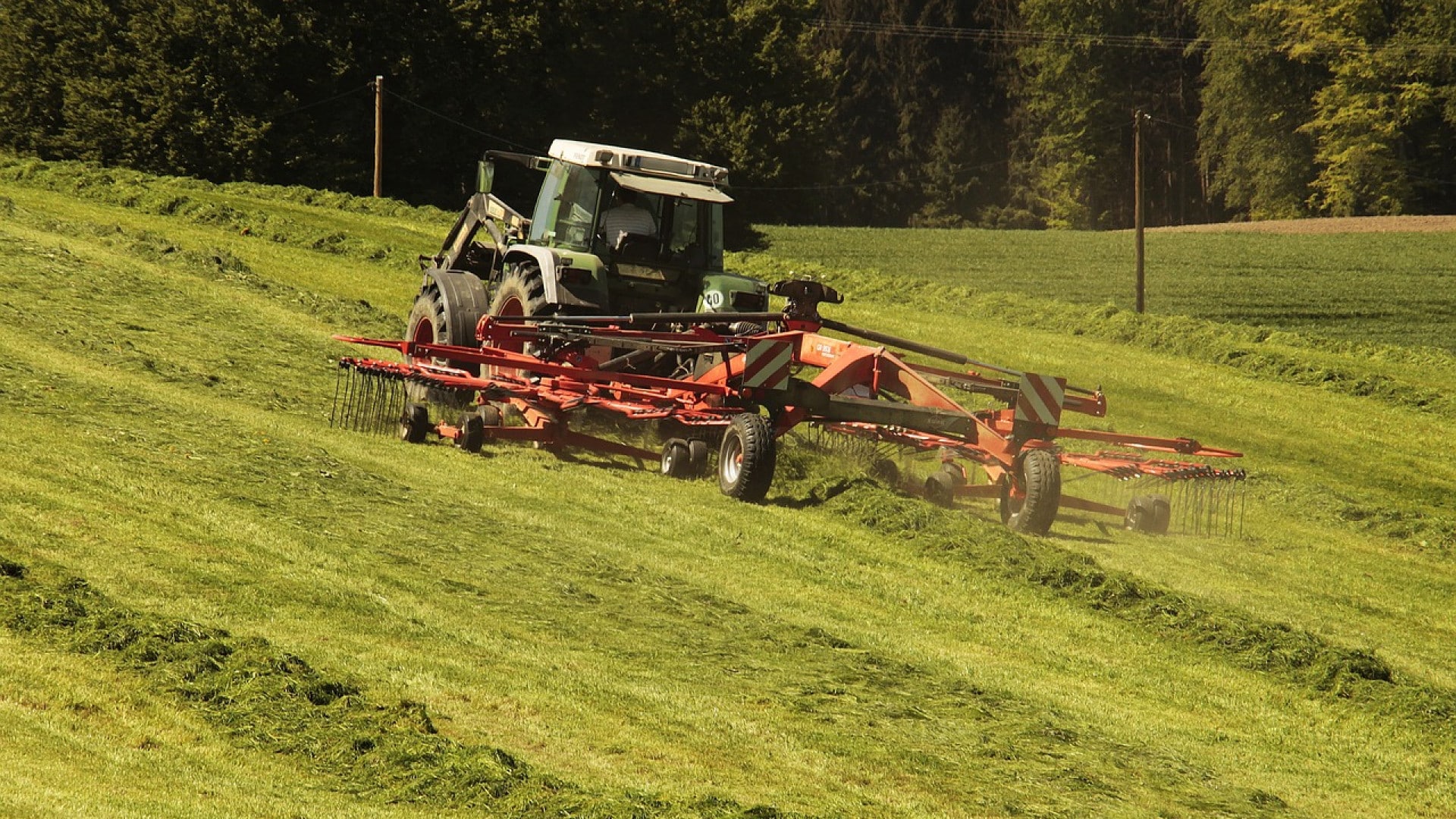 Comment bien choisir un andaineur ? - Affaires du Jour