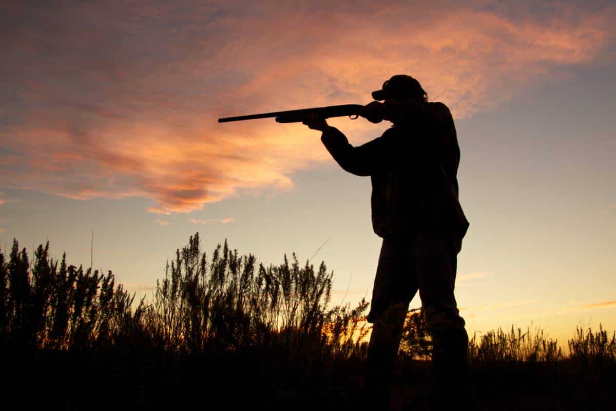 Comprendre l'action de chasse en trois aspects clés